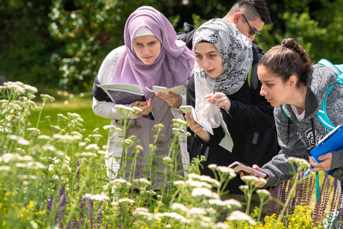 Why UW Bothell - Undergraduate Admissions