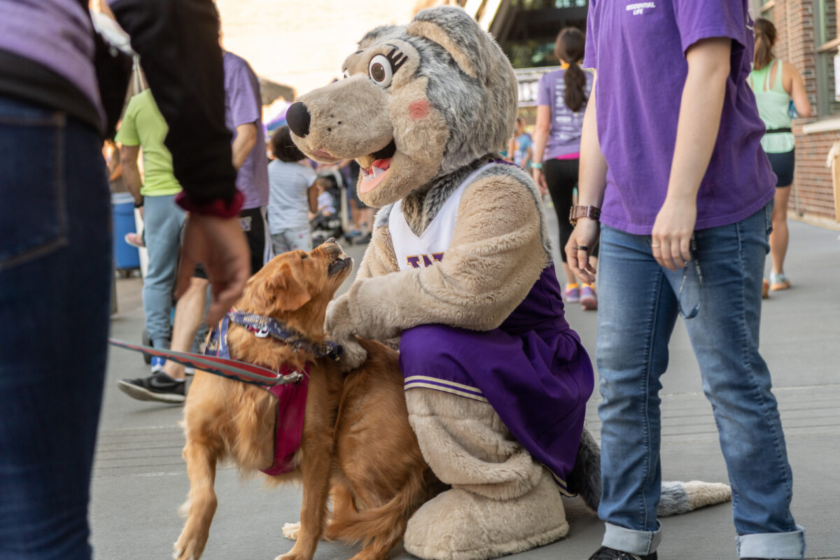 Annual UW Bothell Husky 5K - Alumni