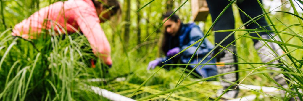 Getting Started in Research - Office of Connected Learning