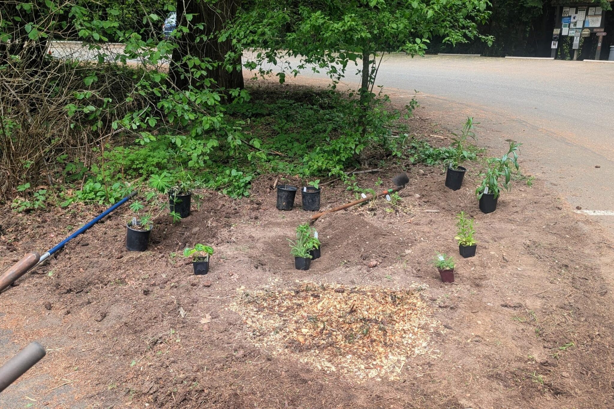 Native Plant Conservation and Community Engagement Pathway ...