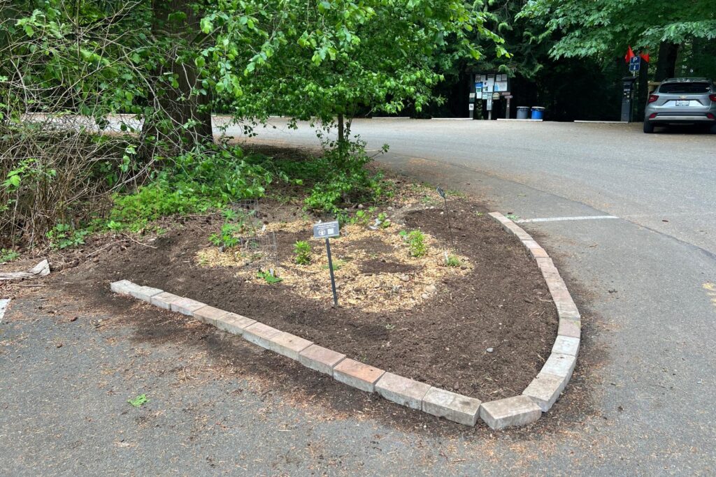 Native Plant Learning Garden - Collaborative for Socio-Ecological ...