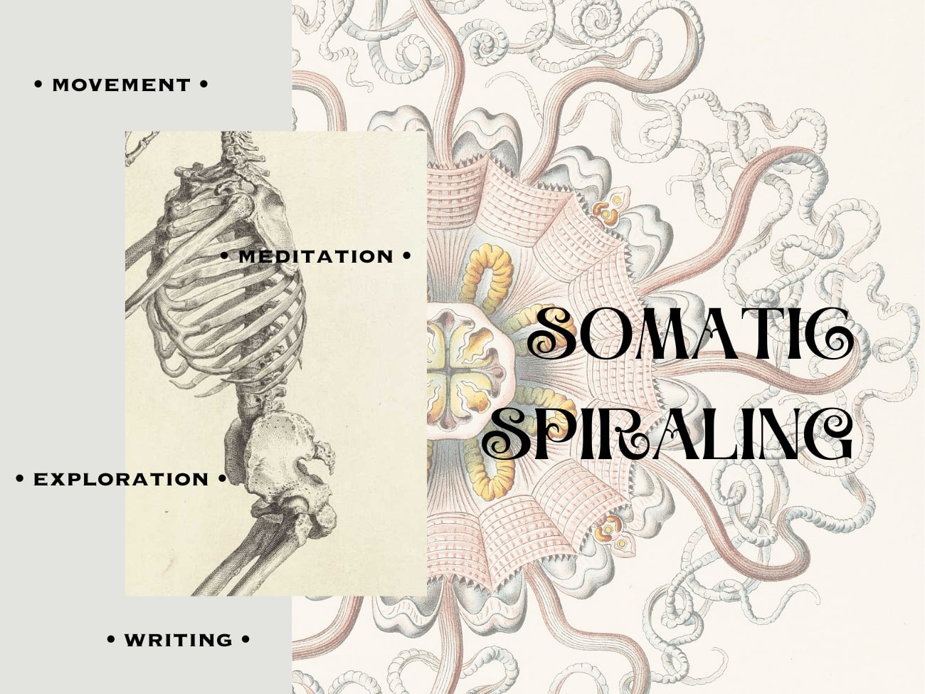 MFA alumni Amy Hirayama and Emily Mundy teach workshops in somatic ...