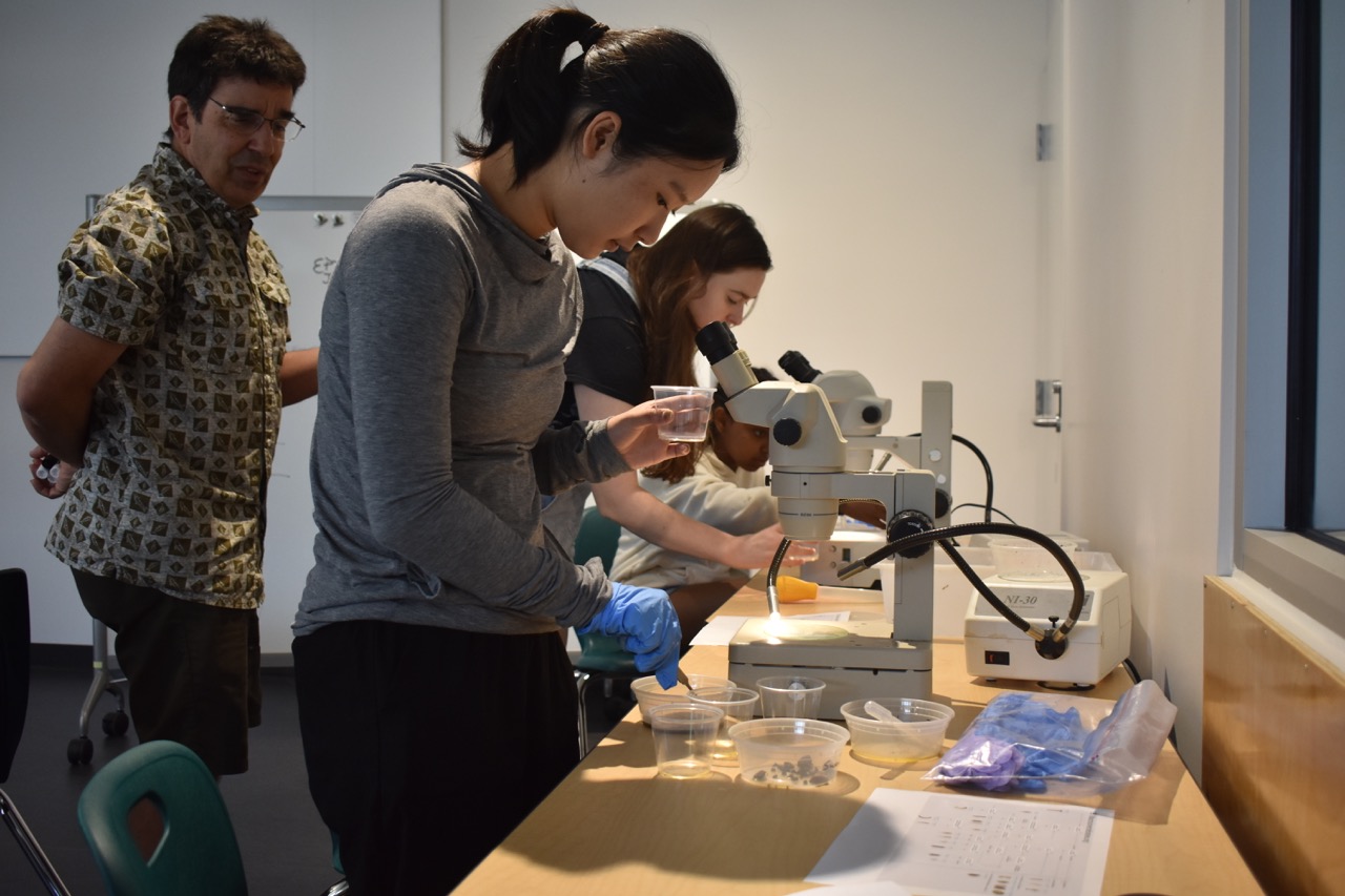 From the forest to the lab: High schoolers get hands-on learning in environmental workshop - News