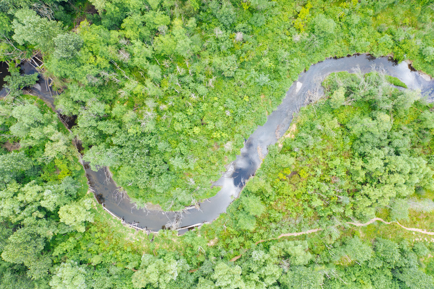 A human lens on conservation, sustainability - News