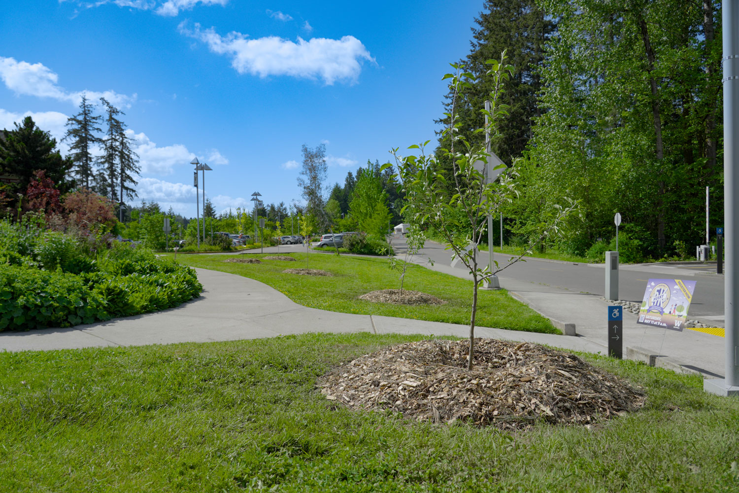 Campus community enjoys the fruits of student work - News
