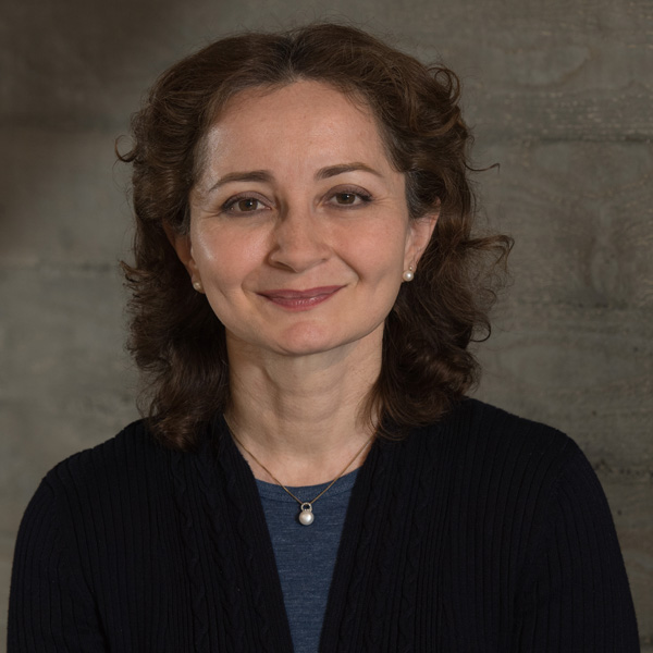 Salwa Al-Noori, Associate Teaching Professor - School of Science ...