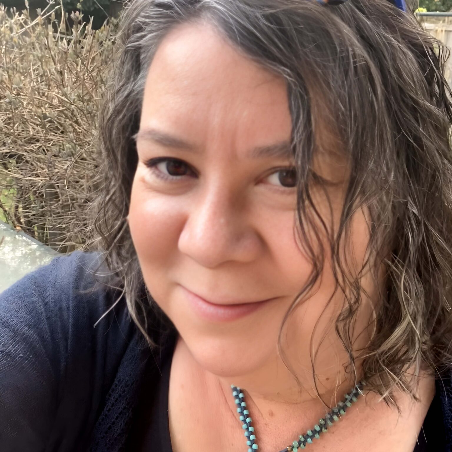 Division of Physical Sciences Faculty - School of Science, Technology ...