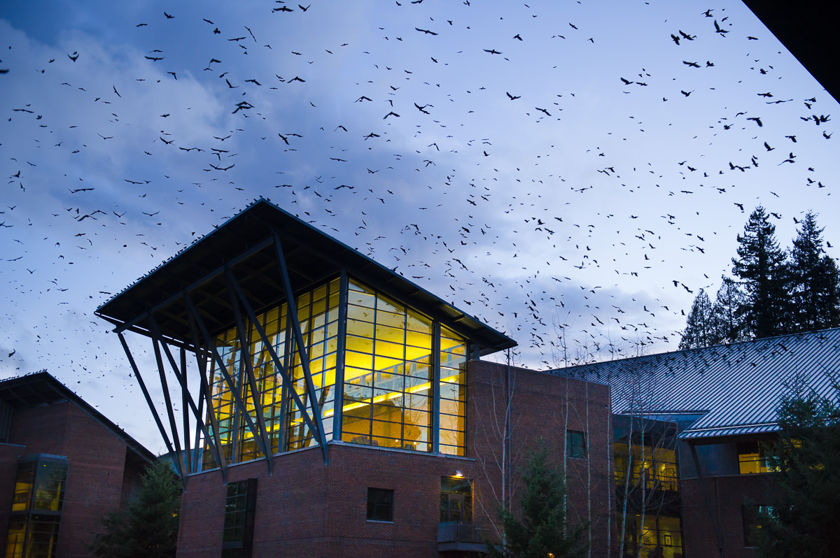 Photography - The University of Washington Bothell