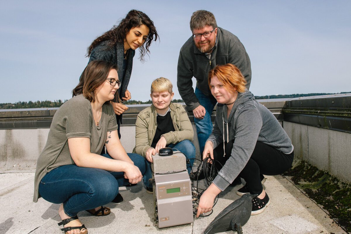 Crows on campus - The University of Washington Bothell