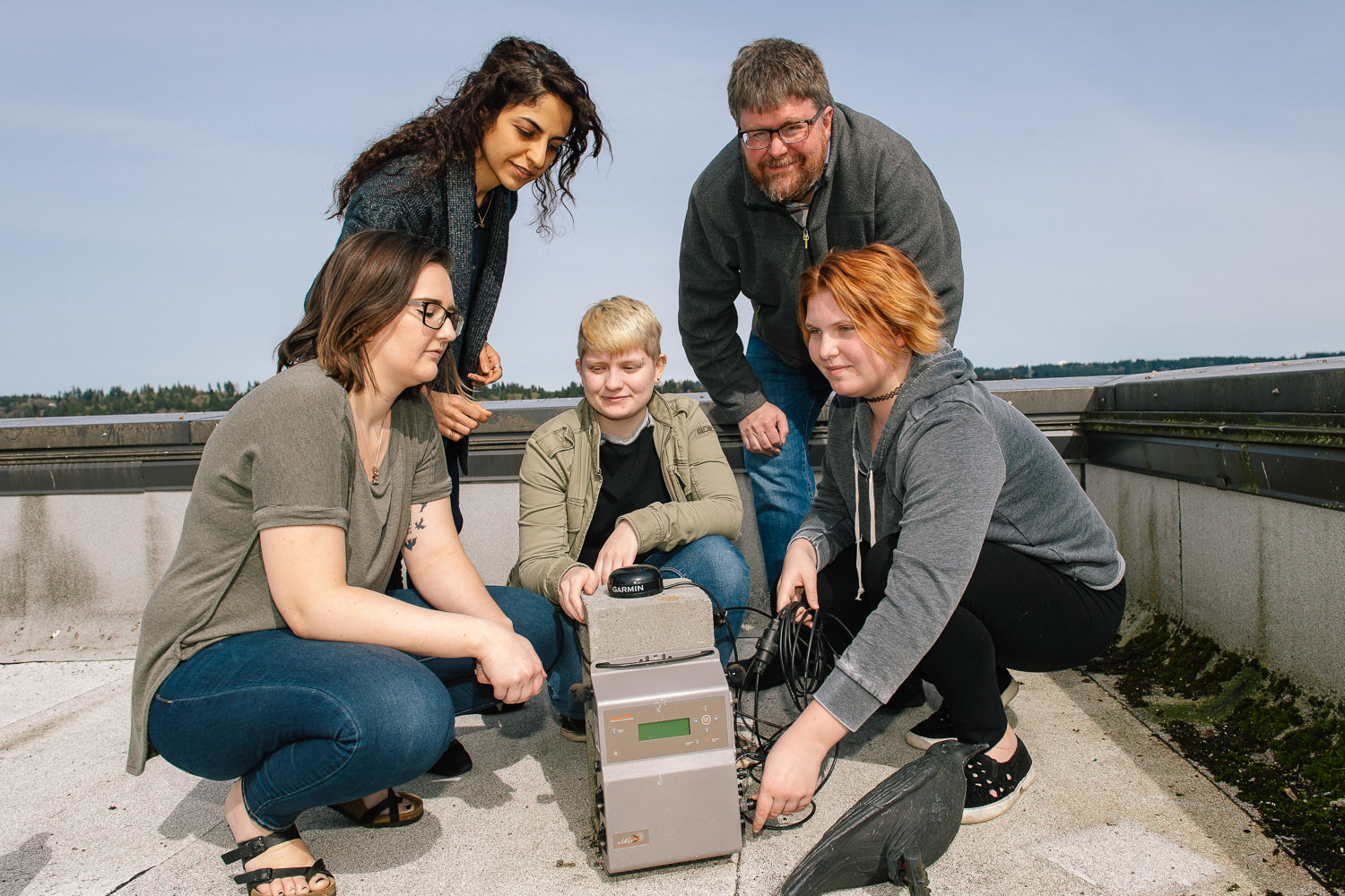 Crows on campus - The University of Washington Bothell